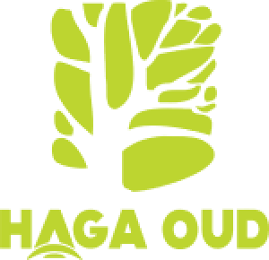 Cửa hàng – TRẦM HƯƠNG HAGA